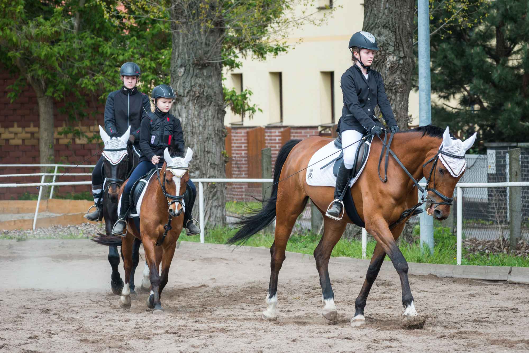 Reitertag 1. Mai 2017 : Reit- und Fahrverein „Herodot“ Leipzig e.V.